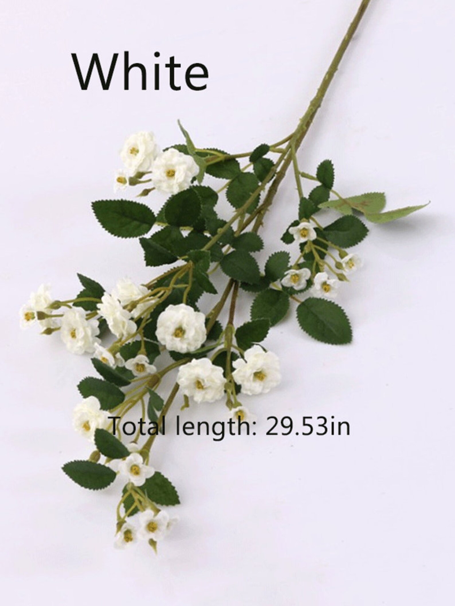 Small Rose Flower Stem With Buds and Leaves, Rustic Wildflower Spray ...