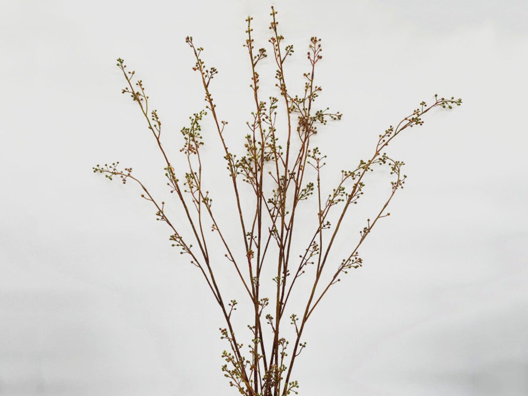 Dead Branch With Buds, Rustic Berry Long Twig, Artificial Flower Craft ...