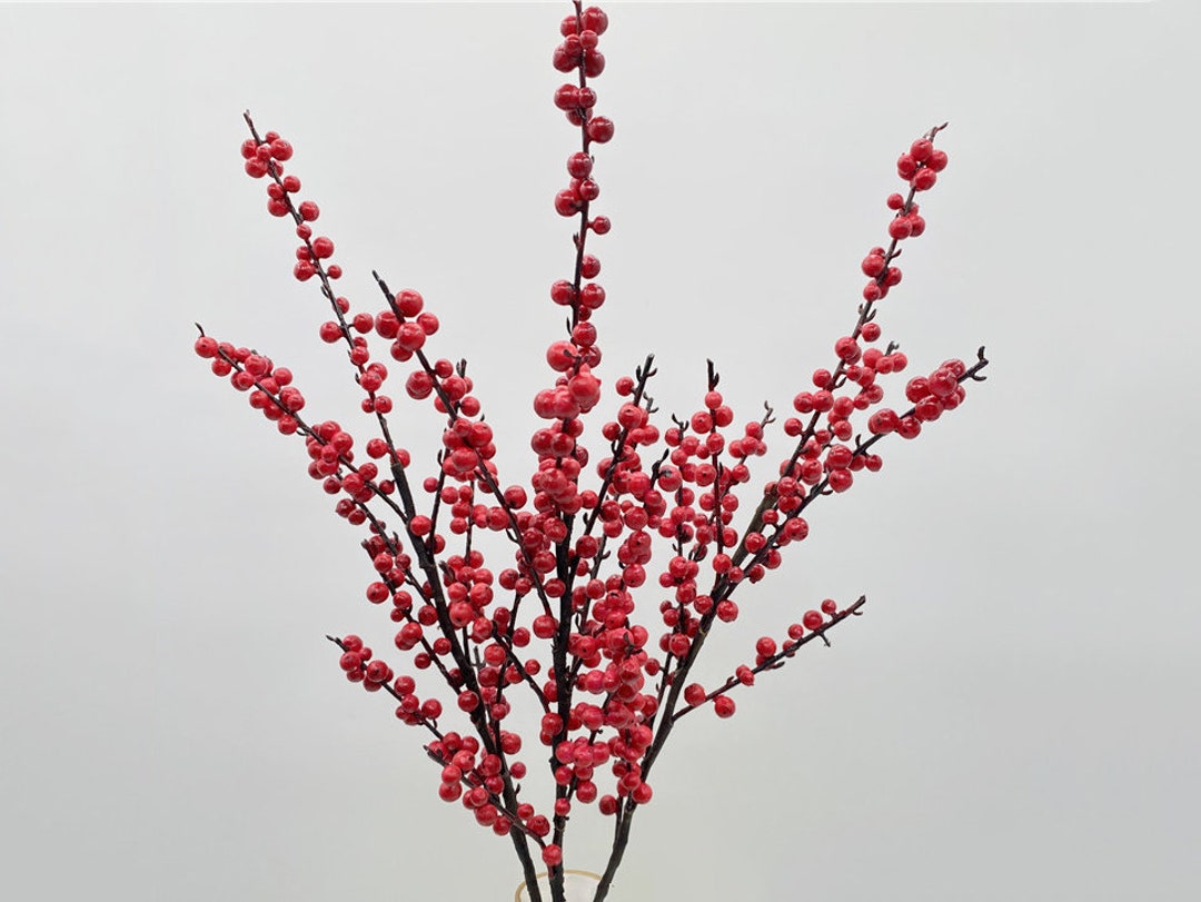 Holly Long Branch, Red Berry Stem, Fall Rustic Wild Fruit Craft ...