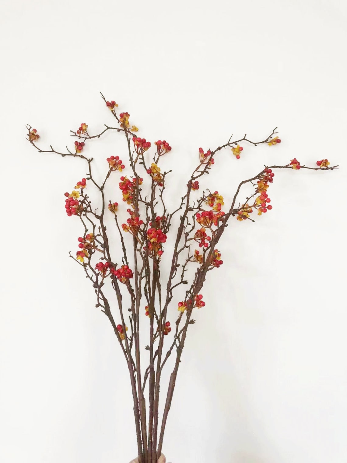 Artificial Bittersweet Fruit With Long Branch Quality Small - Etsy