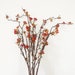 Artificial Bittersweet Fruit With Long Branch, Quality Small Berry Stem ...