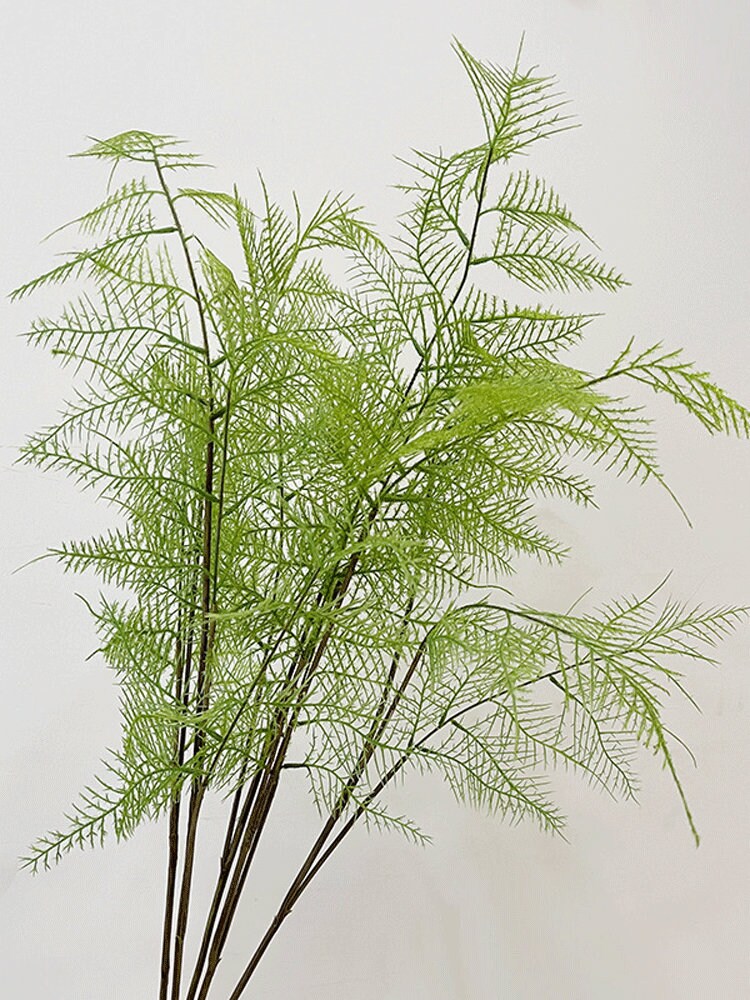 Artificial Plumosus Fern Stem, Fake Asparagus Setaceus Terrarium ...