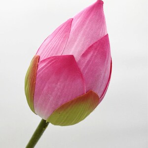 Fake Lotus Flower Buds, Water Lily Stem, Summer Flower Spray, Home ...
