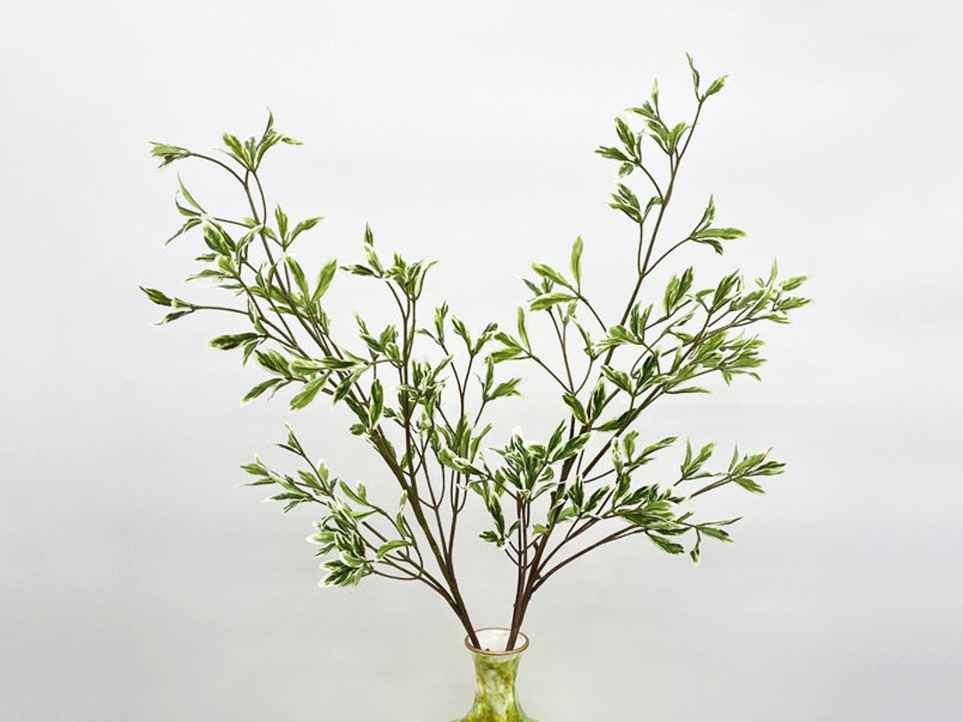 Silver Boxwood Plant Variegated Plant, Fake Foliage Twig, Rustic ...