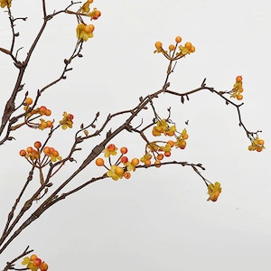Artificial Bittersweet Fruit With Long Branch, Quality Small Berry Stem ...