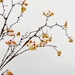 Artificial Bittersweet Fruit With Long Branch, Quality Small Berry Stem ...