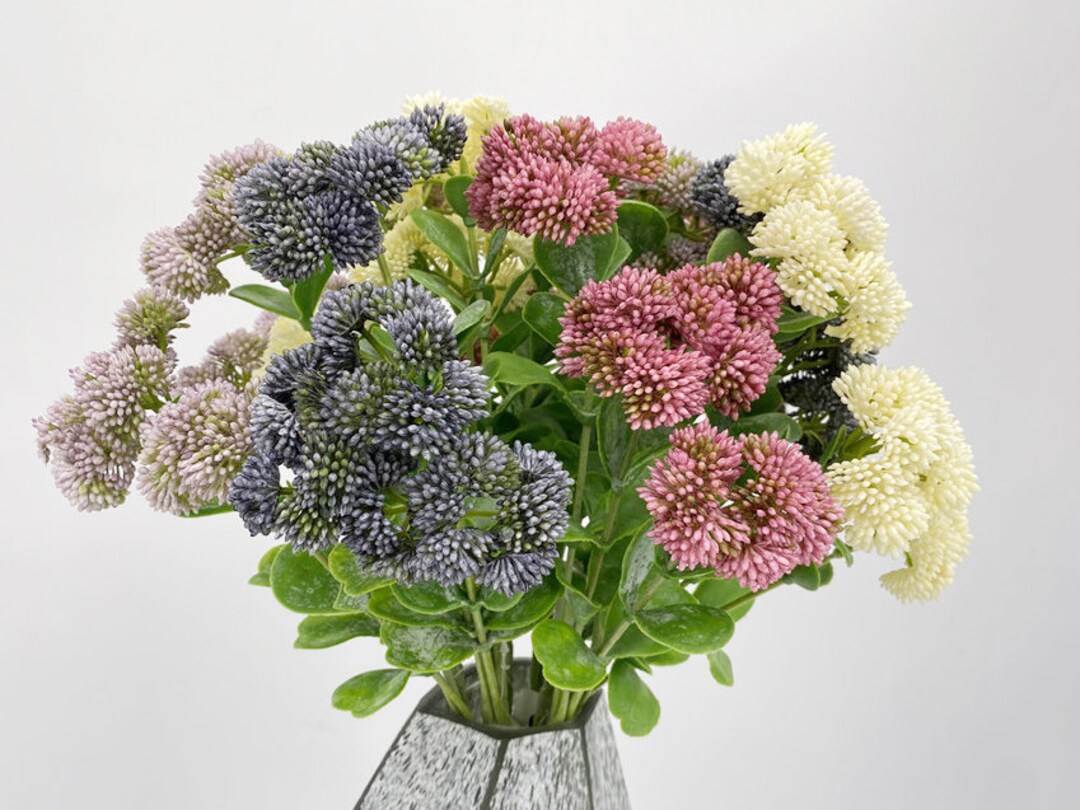 Orpine Flower Stem With Leaves, Hylotelephium Telephium, Fake Succulent ...