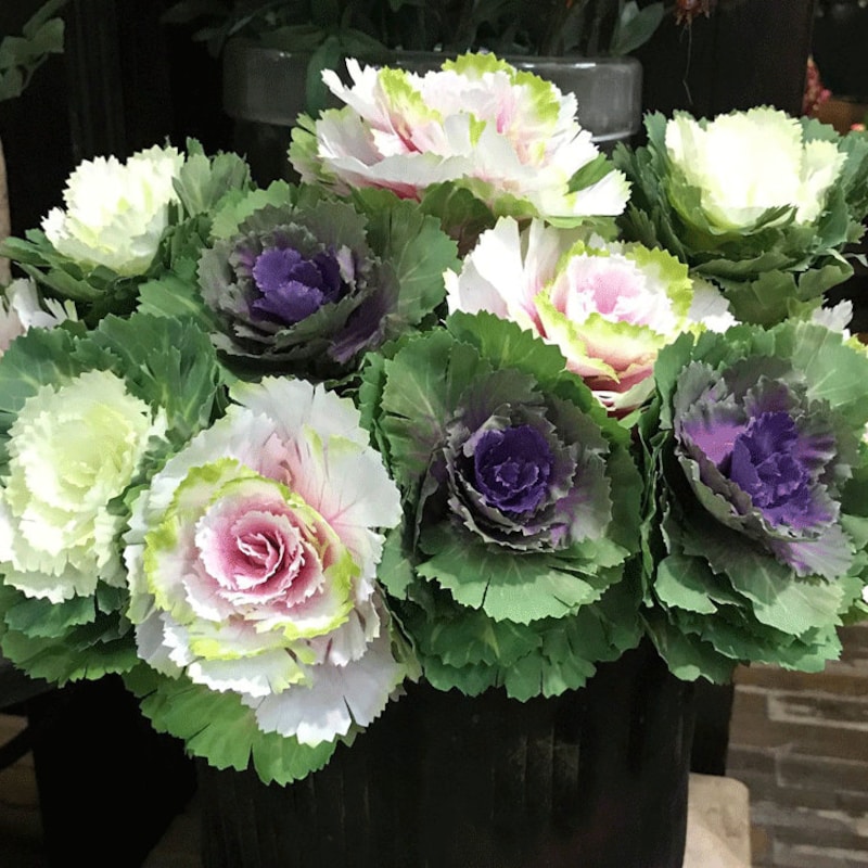 Artificial cabbages - Etsy Polska