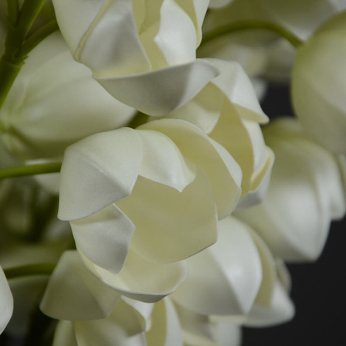 Quality Yucca Stem With Bud Artificial Orchid Flower Branch - Etsy