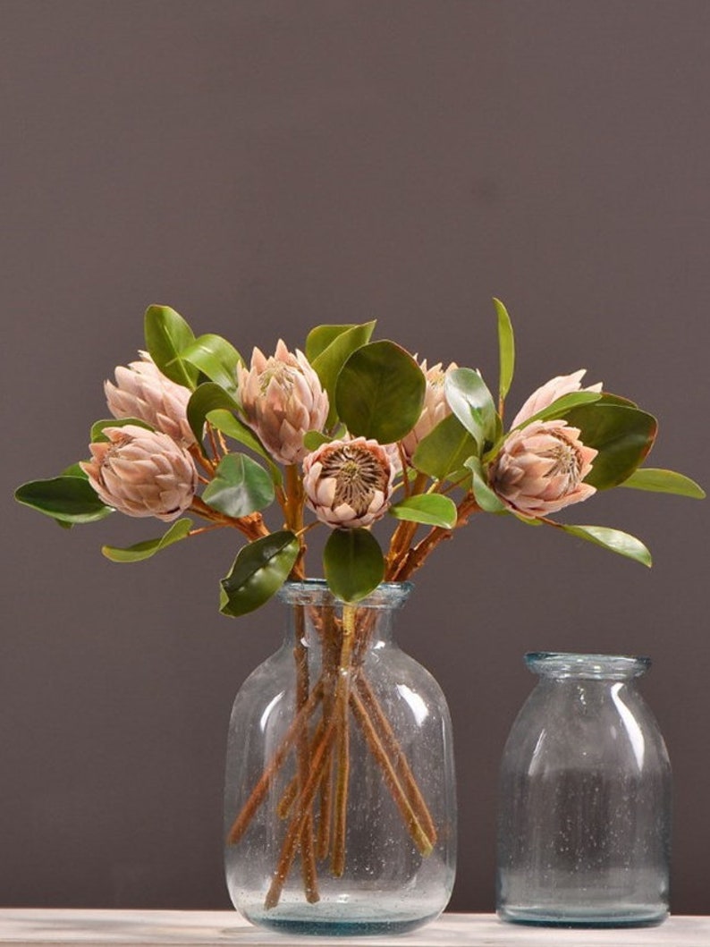 Quality Protea Stem With Leaves Tropical Flower Craft - Etsy