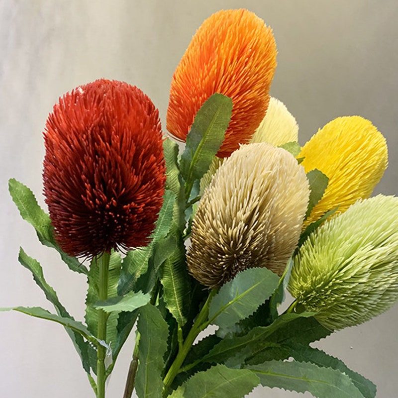 Pressed Tropical Flowers - Etsy