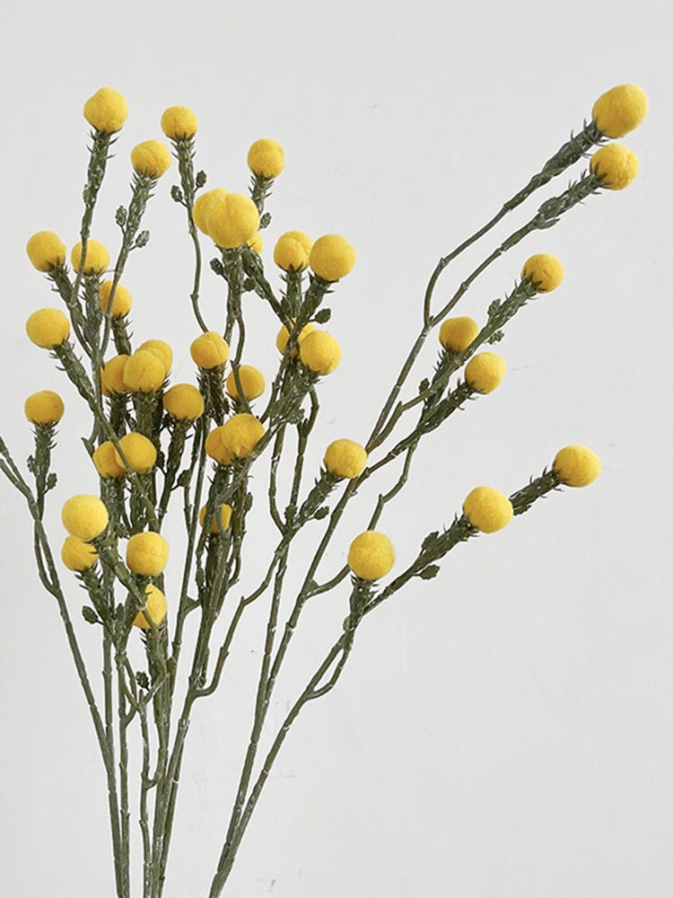 Quality Craspedia Global Stem Artificial Drumstick Flower - Etsy