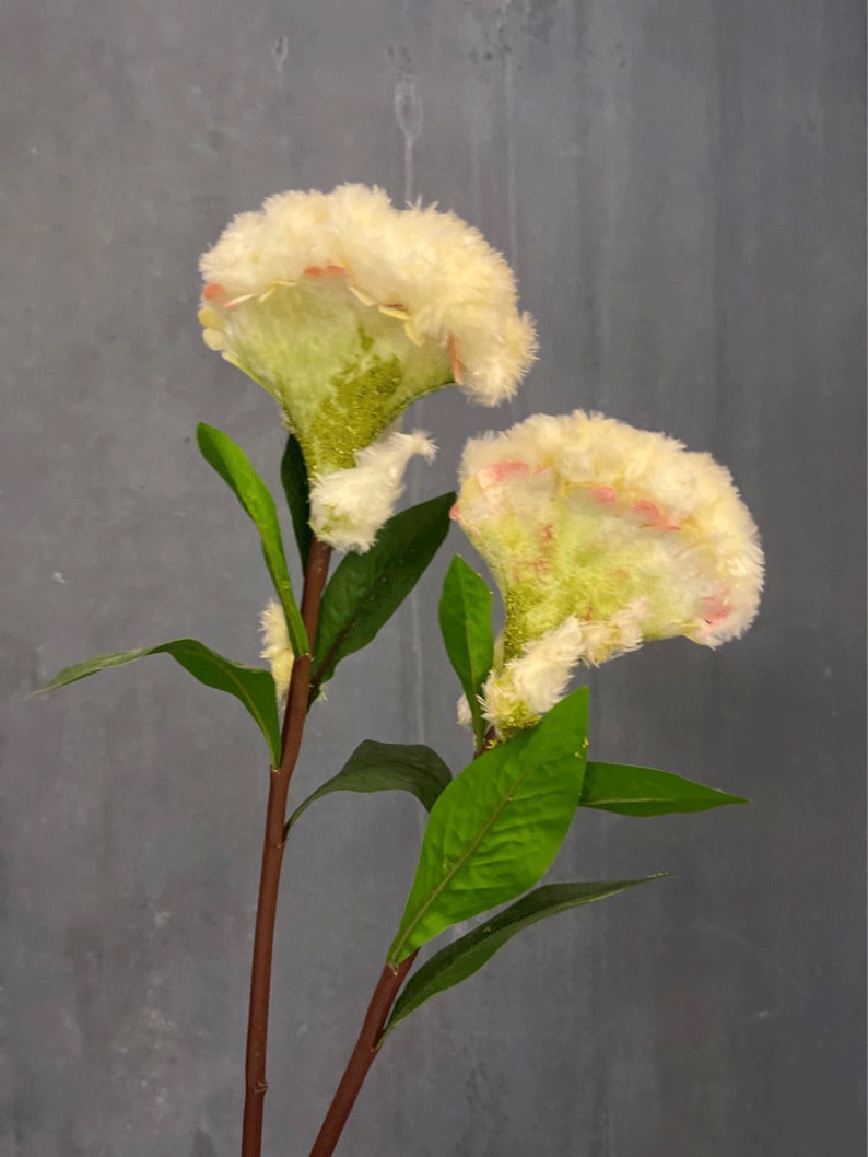 Artificial Cockscomb With Leaf, Realistic Celosia Cristata, Quality ...