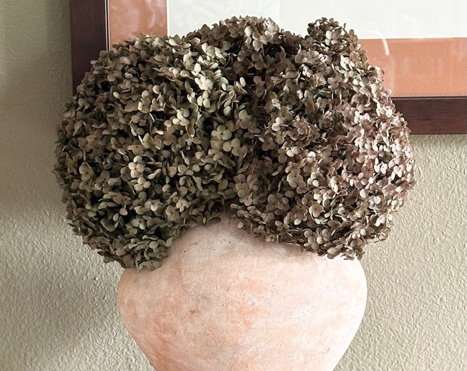 Preserved Large Olive Green Ombré Hydrangea - Etsy