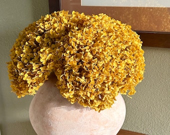 Preserved Large Olive Green Ombré Hydrangea - Etsy