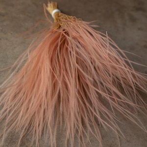 Feather Grass - Pink - Etsy