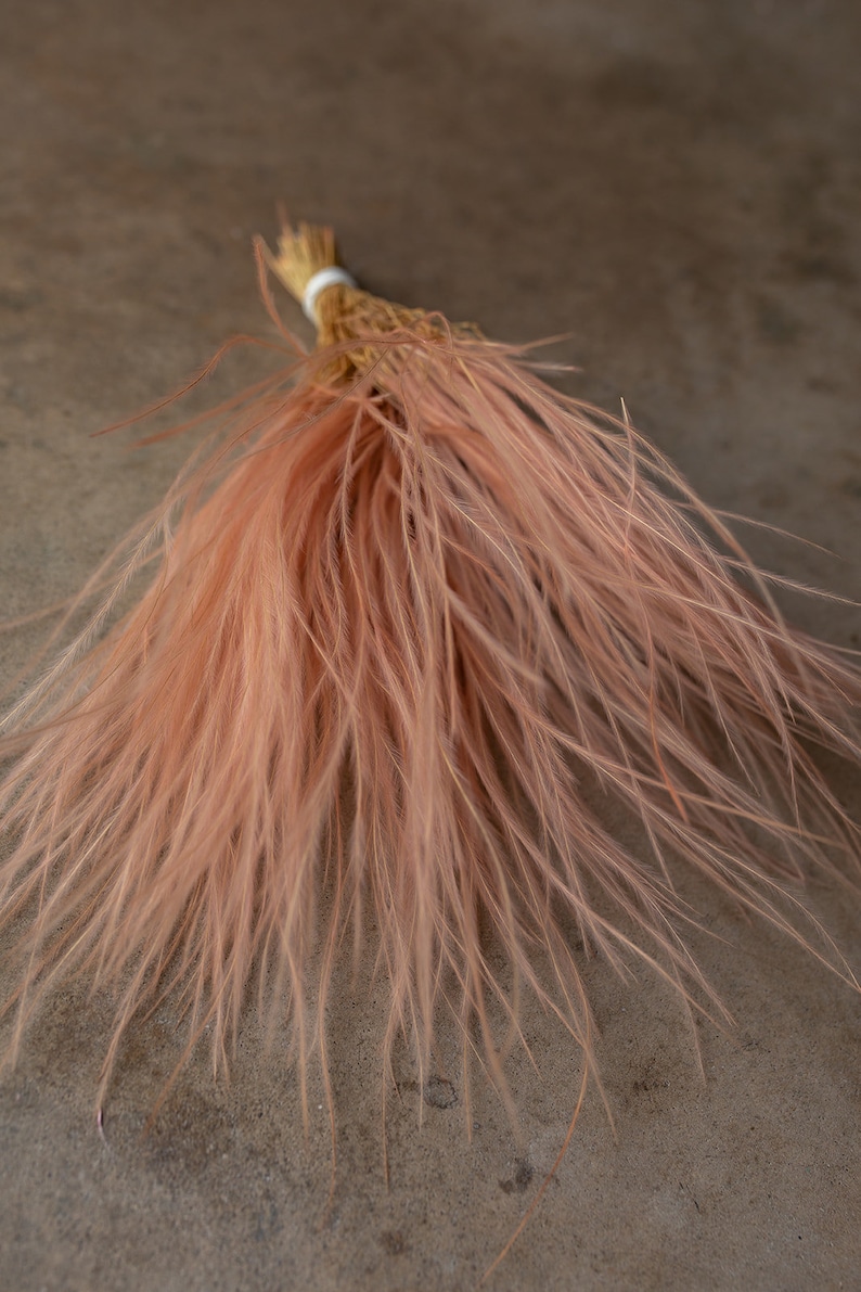 Feather Grass Pink | Etsy