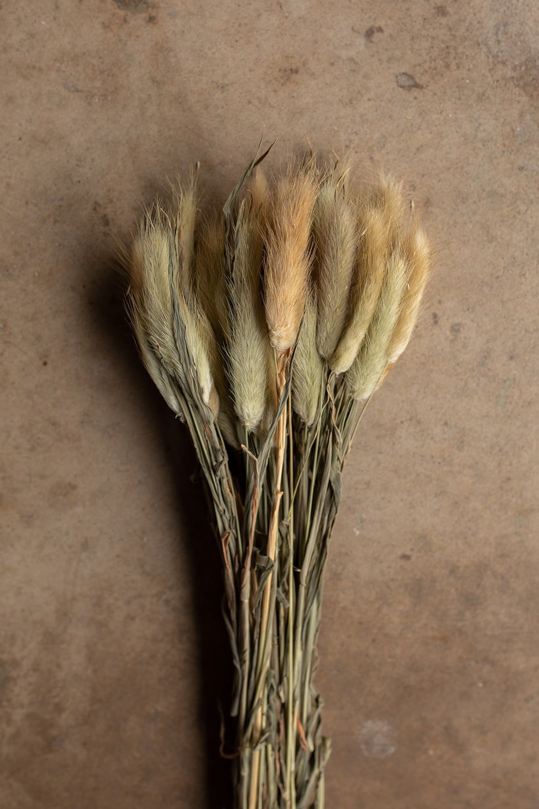 Bunny Tails Natural - Etsy