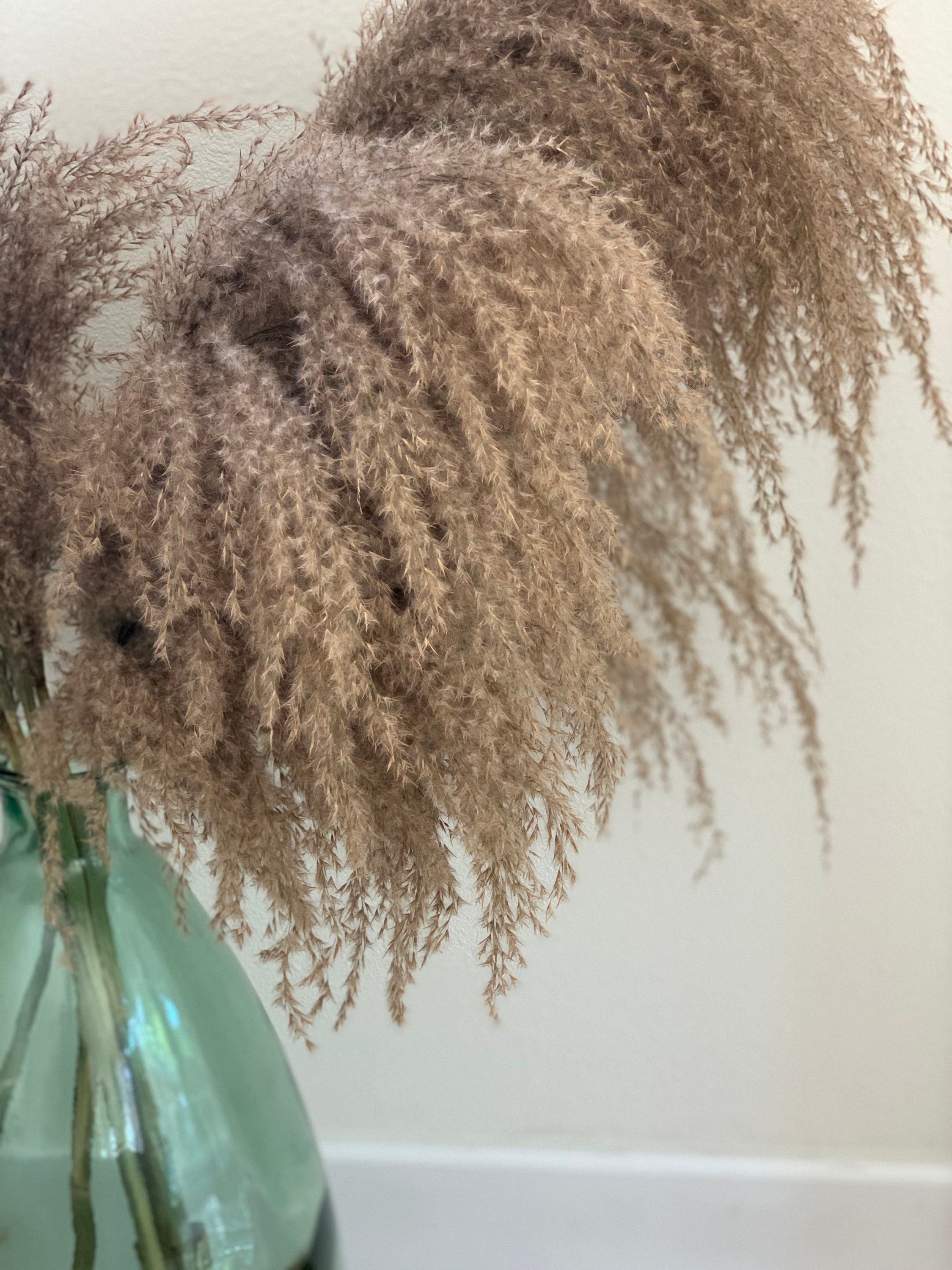 4 FT Droopy Brown Natural Pampas Grass - Etsy