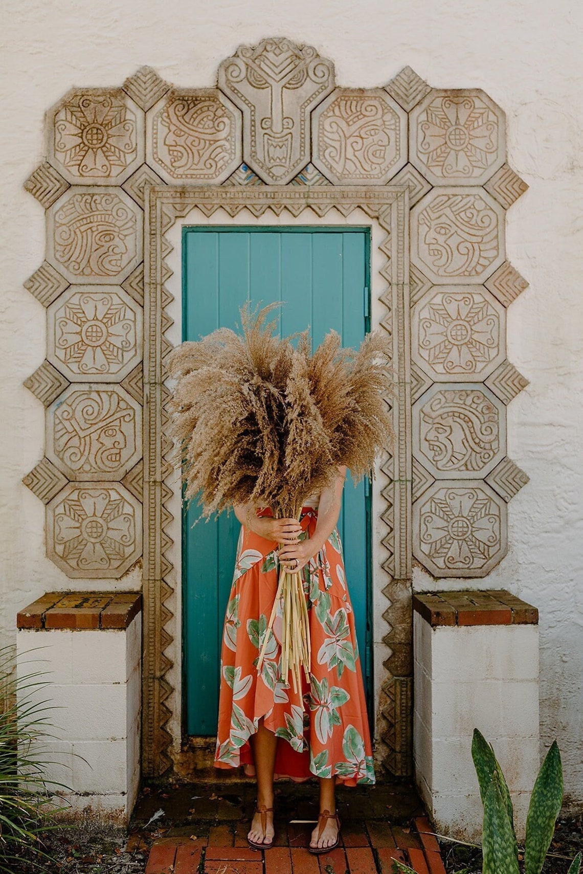 4 FT Droopy Brown Natural Pampas Grass - Etsy