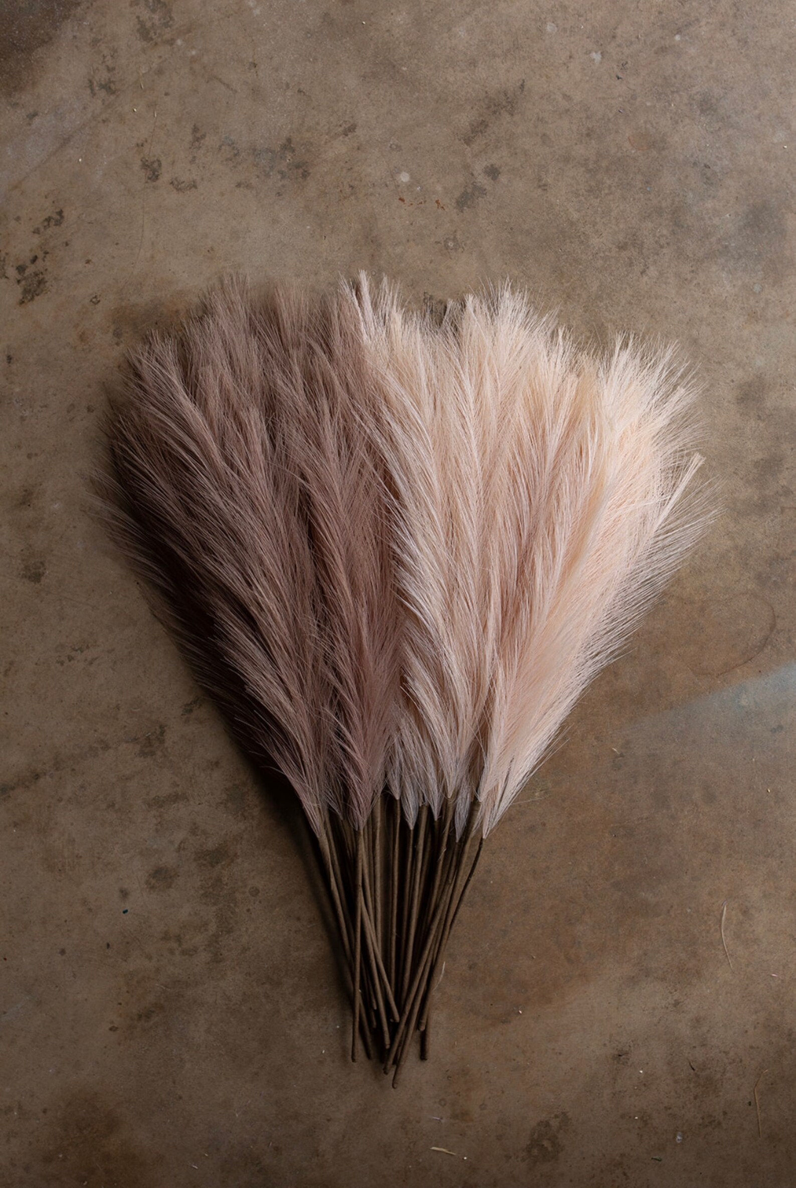 2ft Faux Tabletop Pampas Grass Artificial - Ivory - Etsy