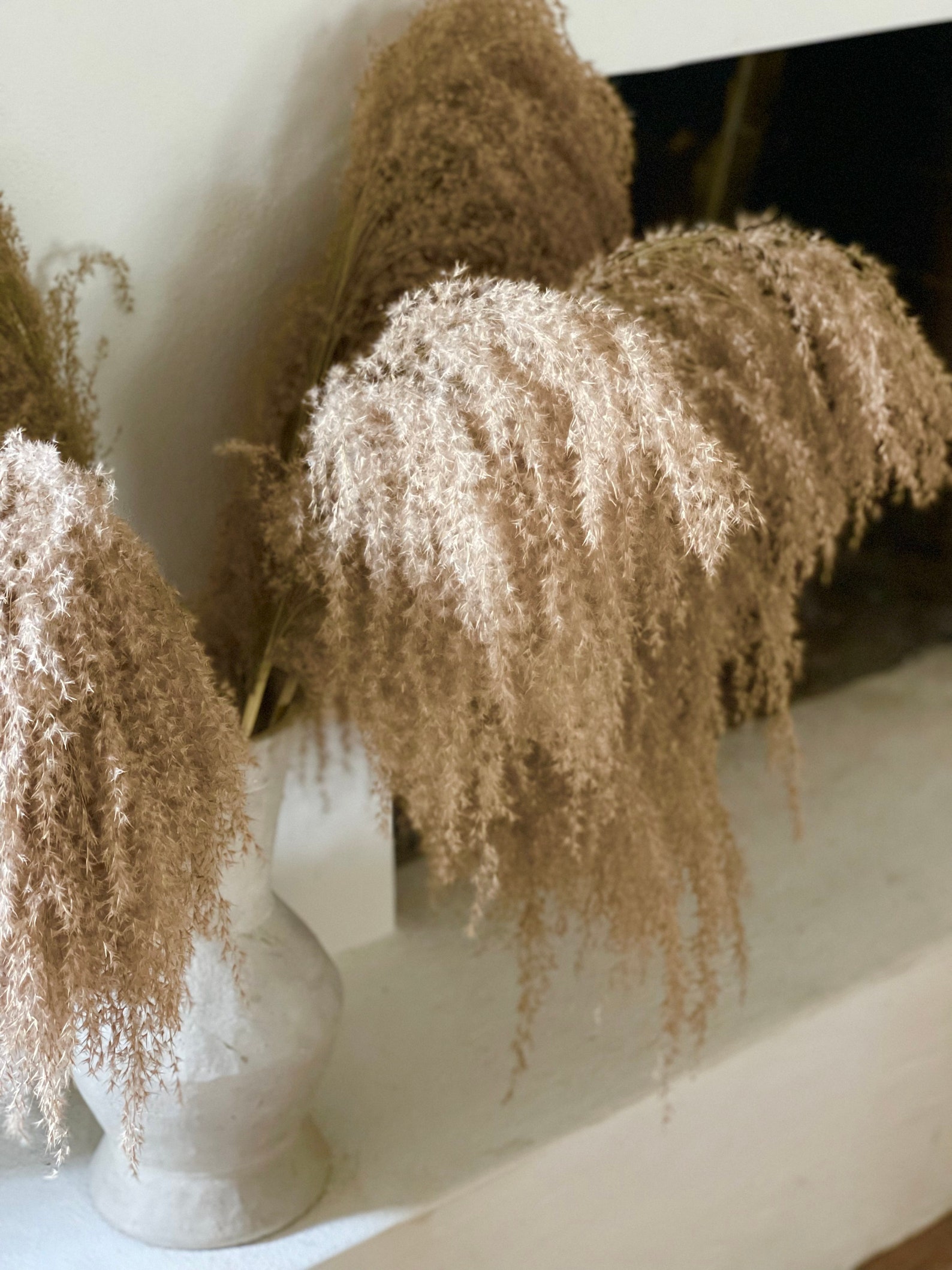 4 FT Droopy Brown Natural Pampas Grass - Etsy