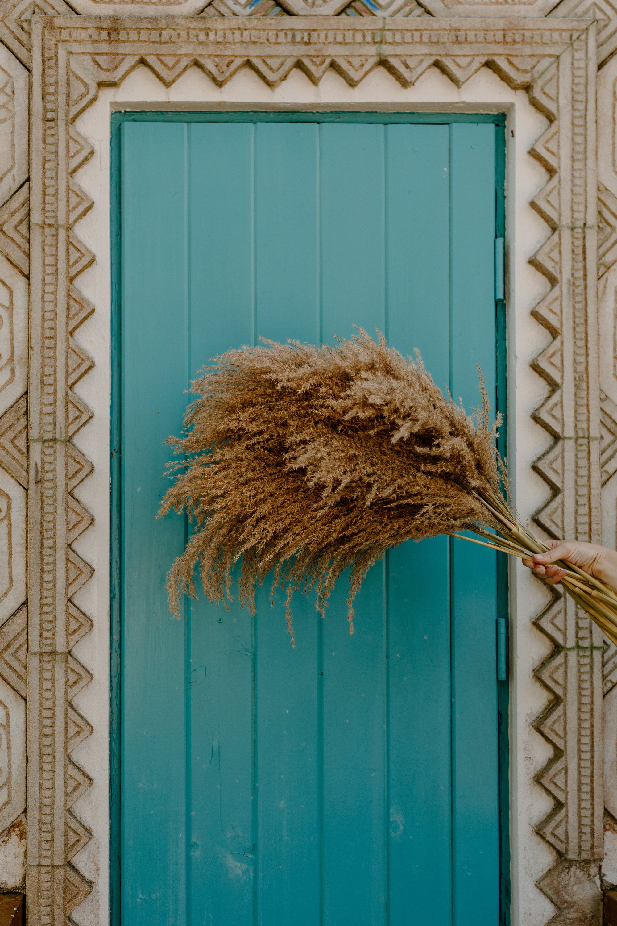 4 FT Droopy Brown Natural Pampas Grass - Etsy