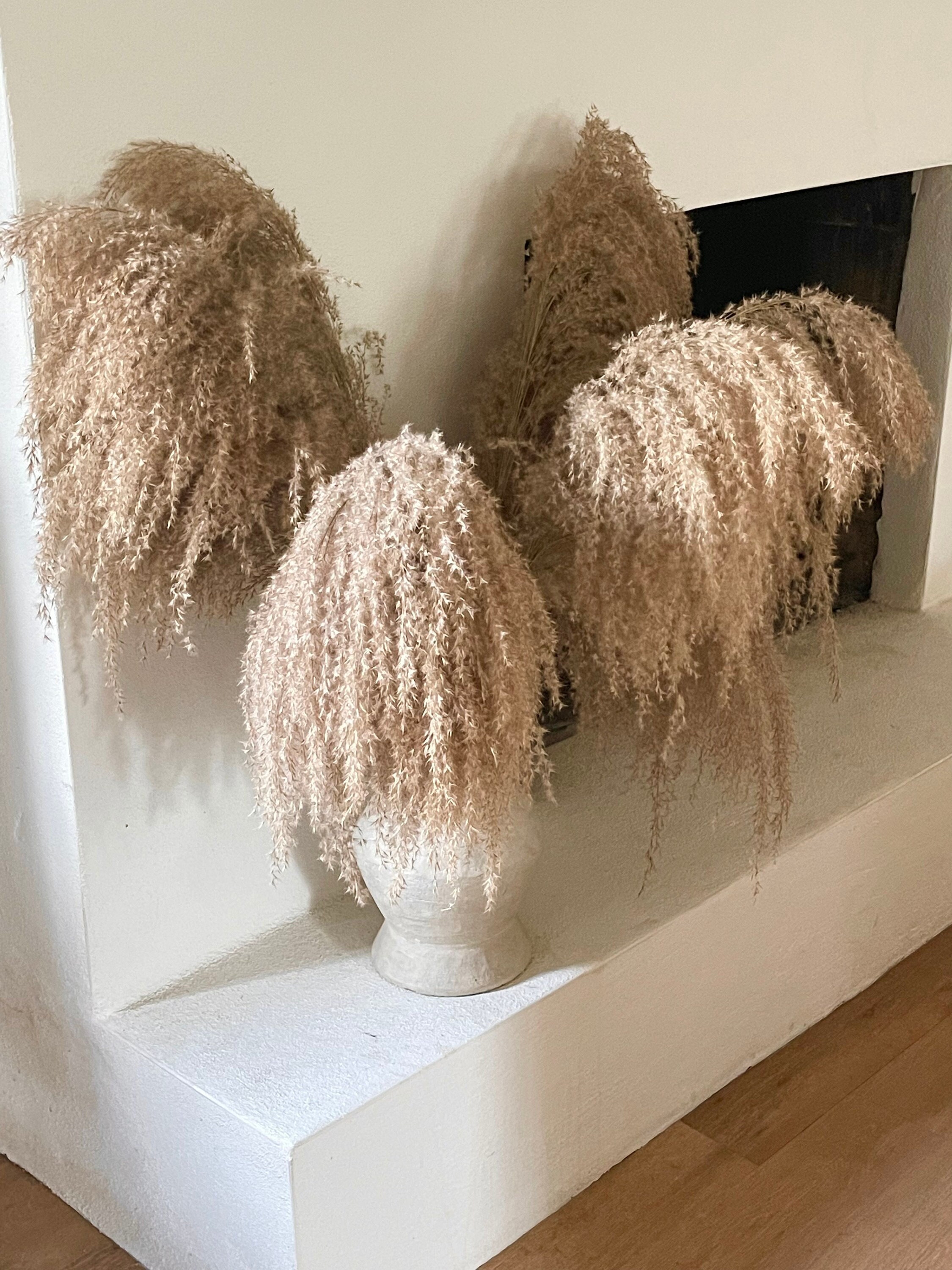 4 FT Droopy Brown Natural Pampas Grass - Etsy