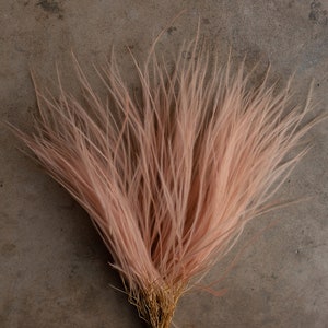 Feather Grass - Pink - Etsy