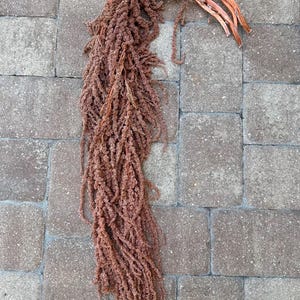 Hanging Amaranthus Desert Terracotta - Etsy