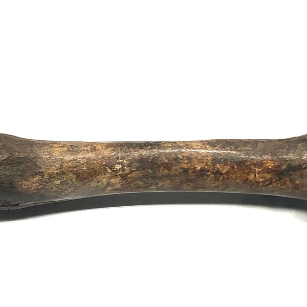 Bison Bone - Etsy