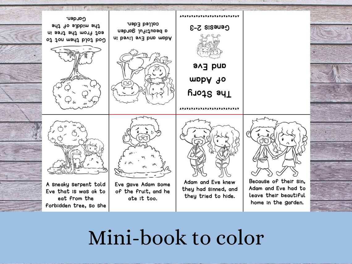 Preschool Bible Story Activity Pack Worksheets - Adam and Eve - Etsy