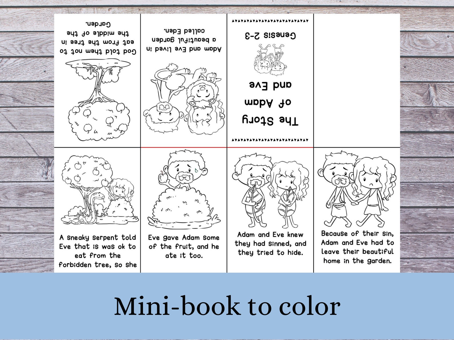 Preschool Bible Story Activity Pack Worksheets - Adam and Eve - Etsy