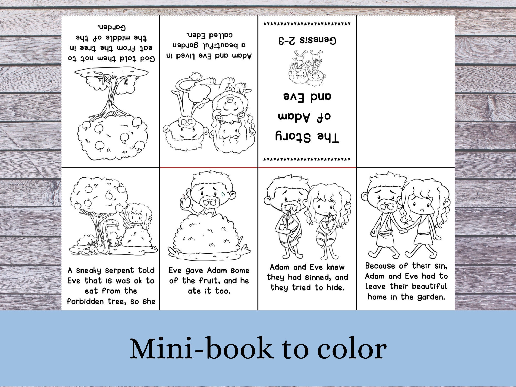 Preschool Bible Story Activity Pack Worksheets - Adam and Eve - Etsy