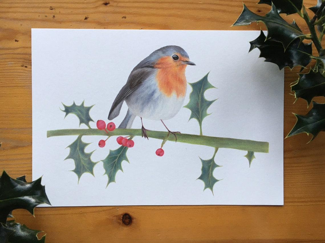 Robin on a Holly Branch Coloured Pencil Drawing Art A5 Print Hand ...
