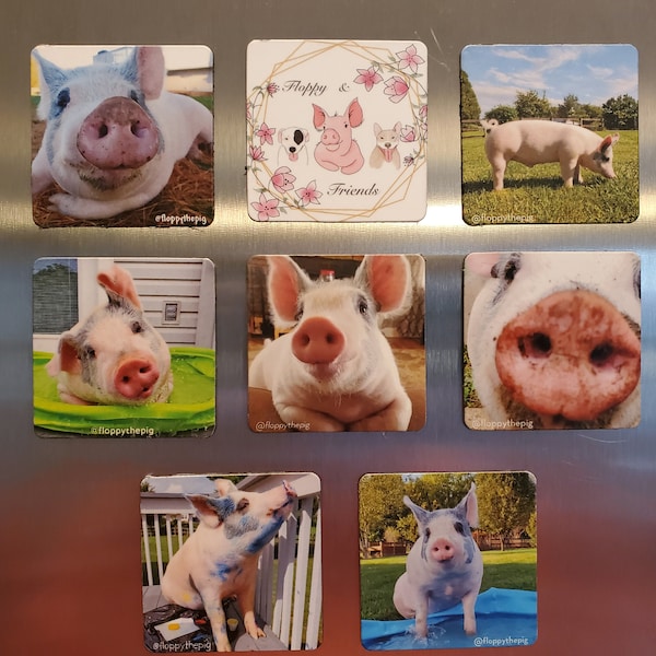 Pig Magnet - Etsy