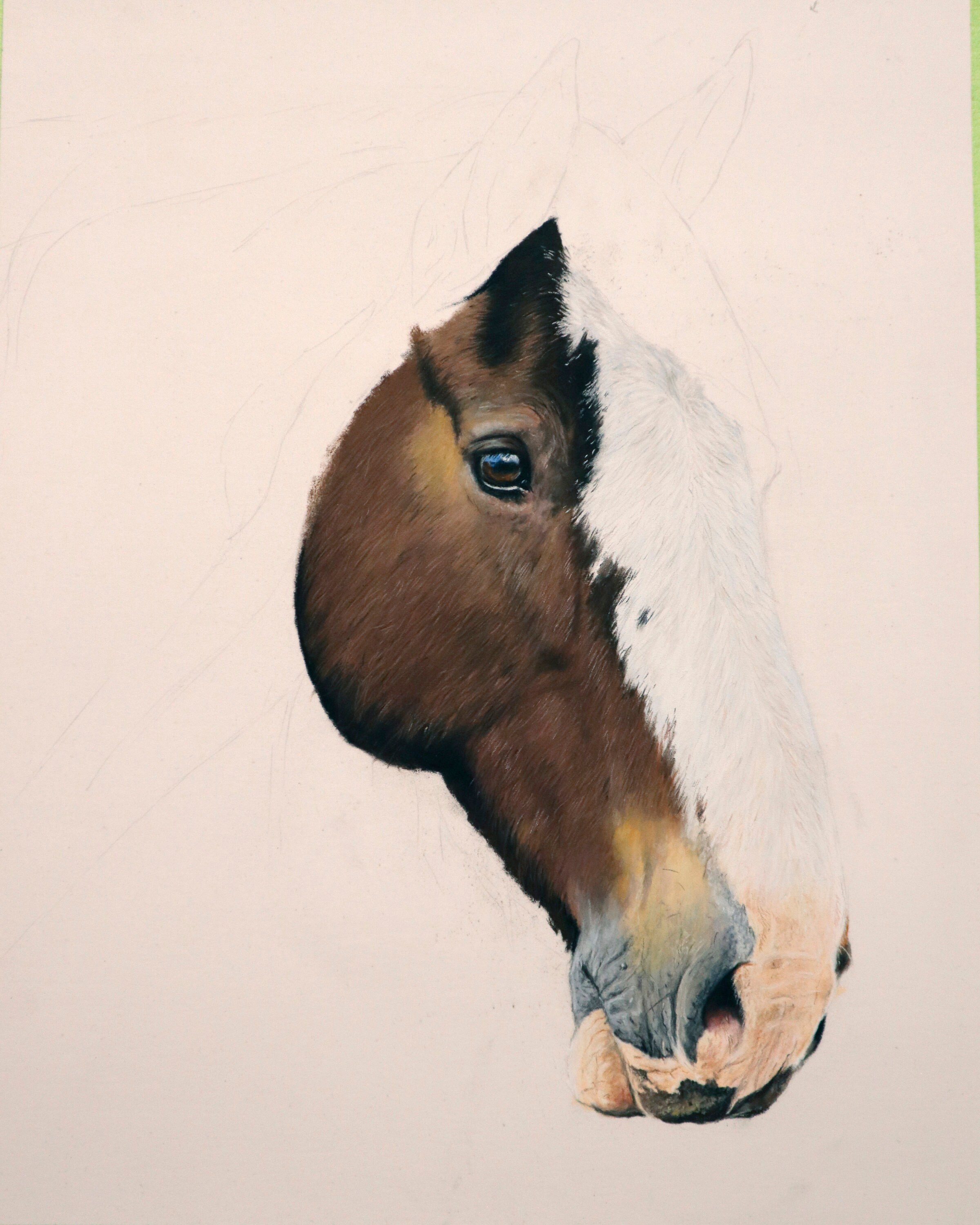 Shire Horse Drawing Original Painting | Etsy