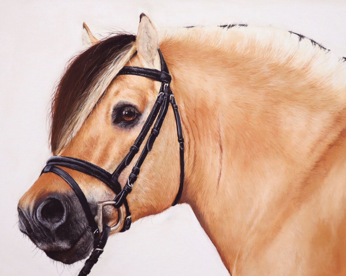 Fjord Horse Drawing Original Painting - Etsy