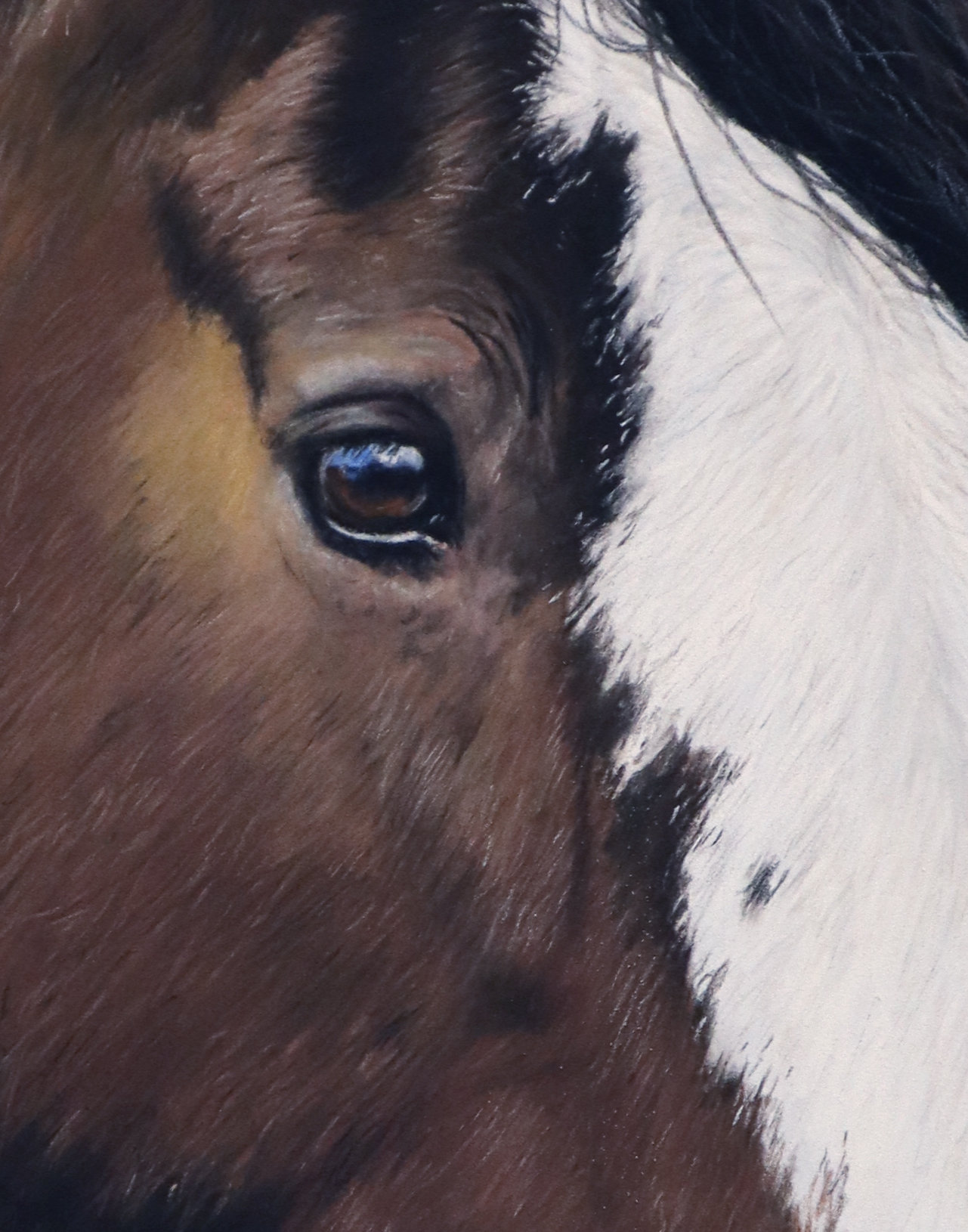 Shire Horse Drawing Original Painting | Etsy