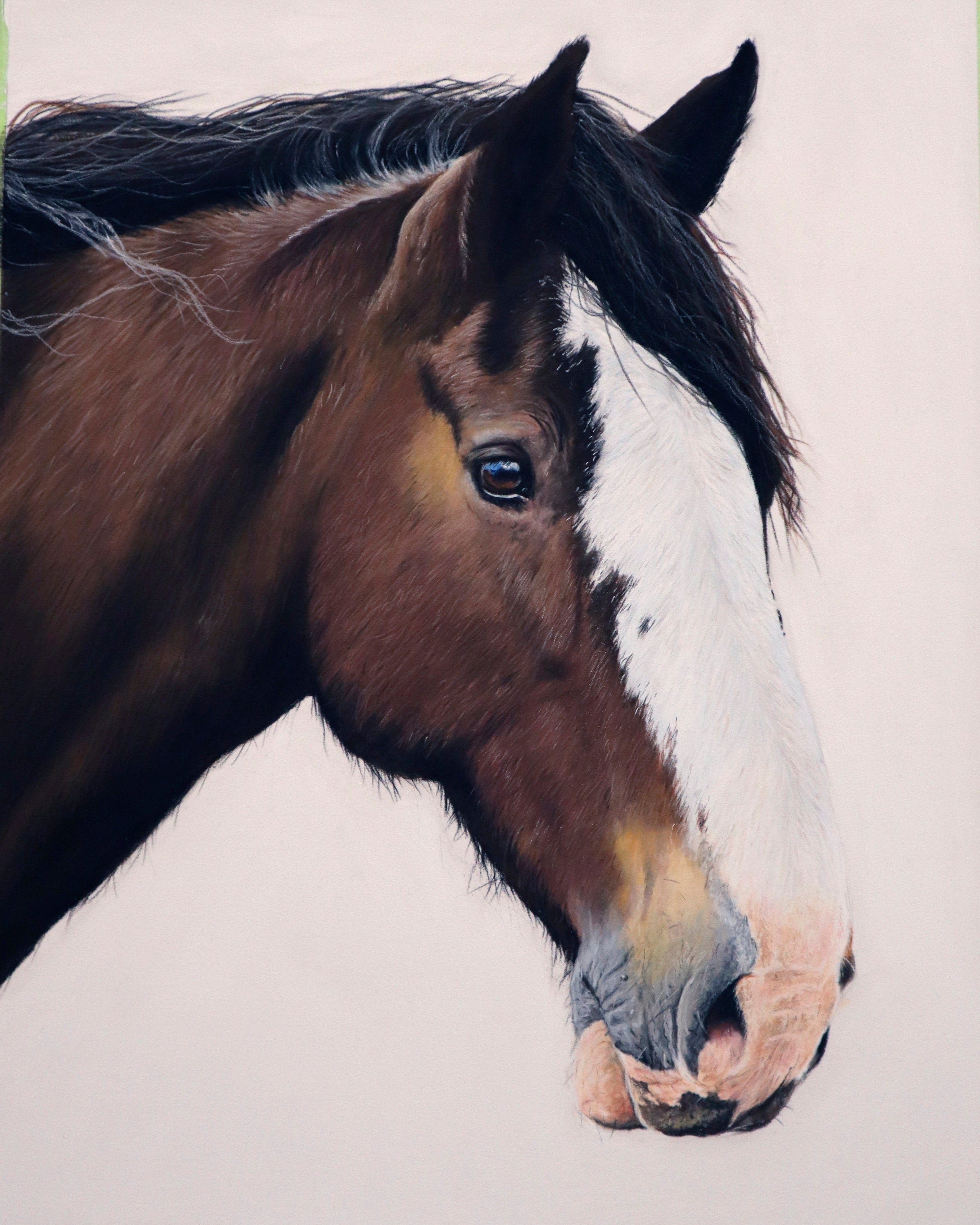 Shire Horse Drawing Original Painting - Etsy 日本