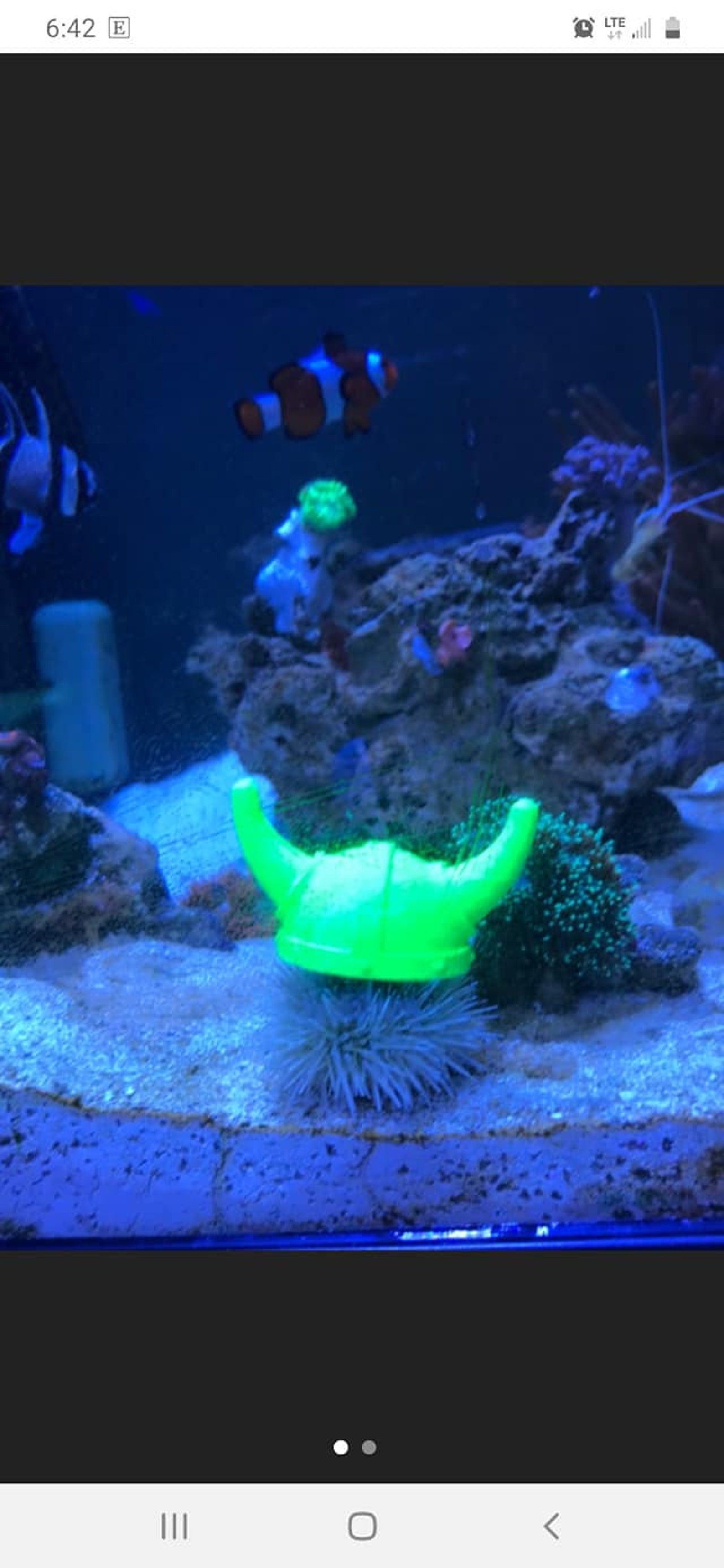 Urchin Hats 4 Pack - Etsy