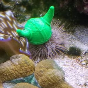 Sea Urchin Hats 4 Pack - Etsy