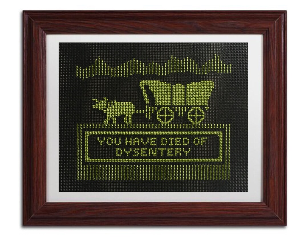 Oregon Trail, Dysentery Cross Stitch - Etsy