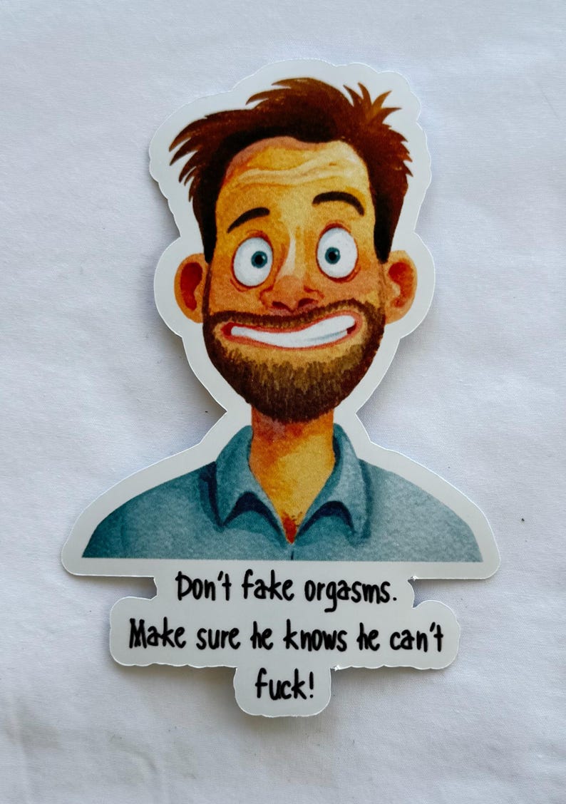 Vinyl Sticker Large. Humorous (or Mean) Stop Faking "it" Theme. Laptop ...