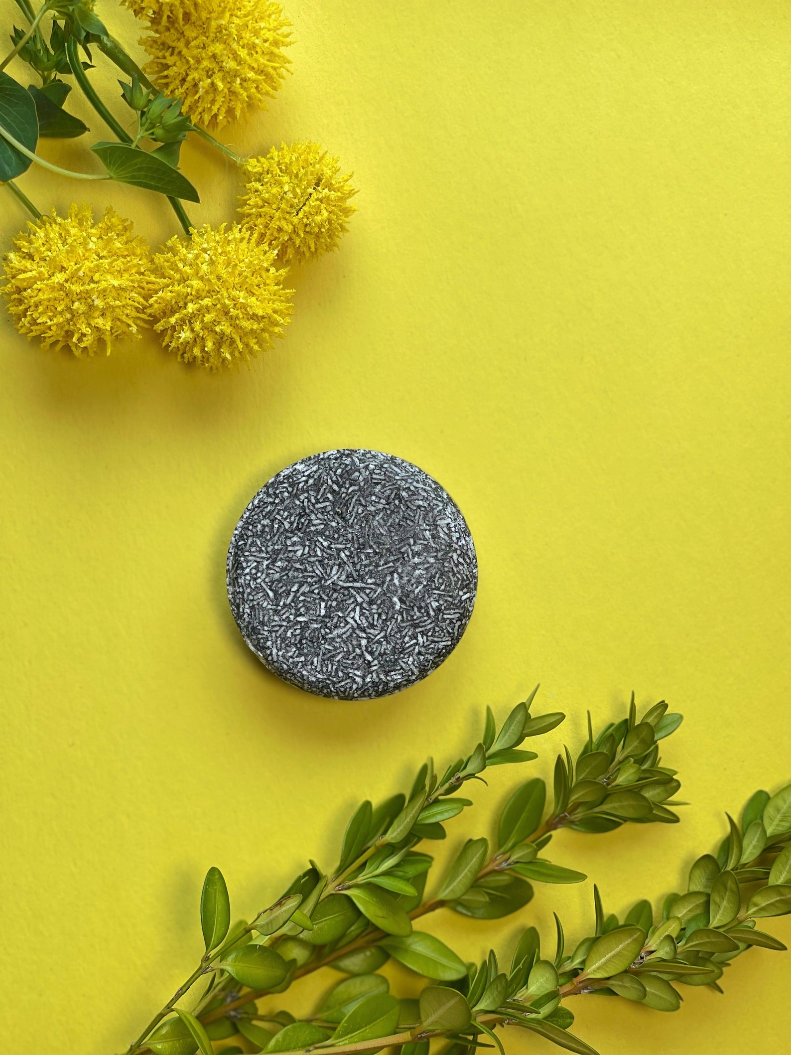 Lavender Organic Vegan Shampoo Bar - Eco Friendly - Zero Waste ...
