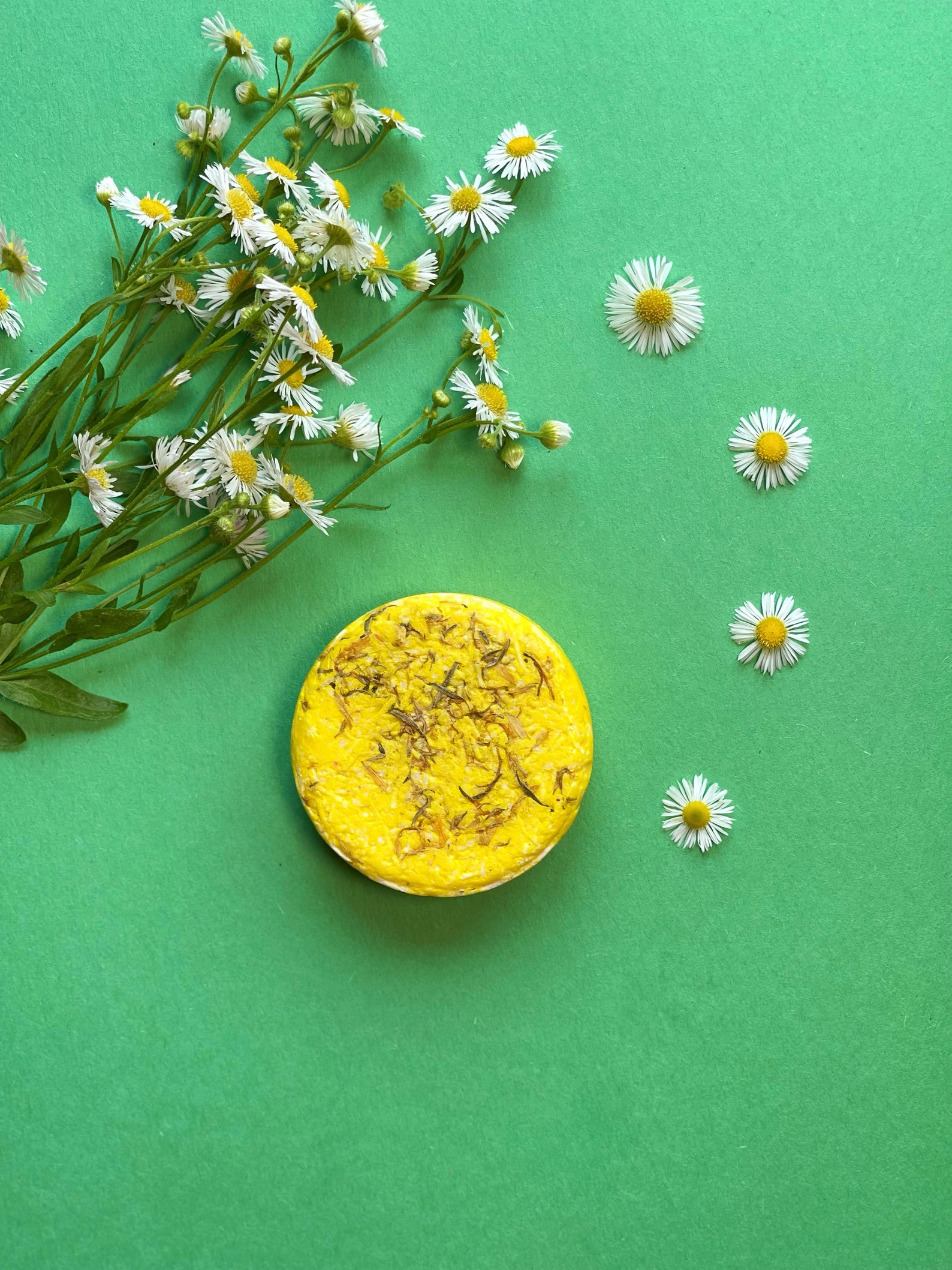Ocean Organic Vegan Shampoo Bar - Eco Friendly - Zero Waste - Plastic ...