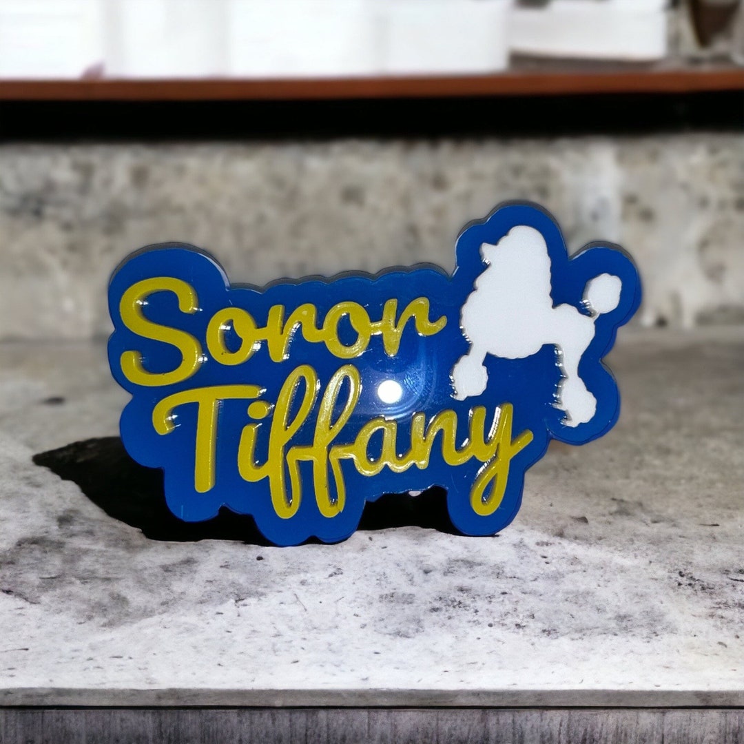 Sigma Gamma Rho Name Pin | Name Badge | Lapel Pin | Sigma Pin ...