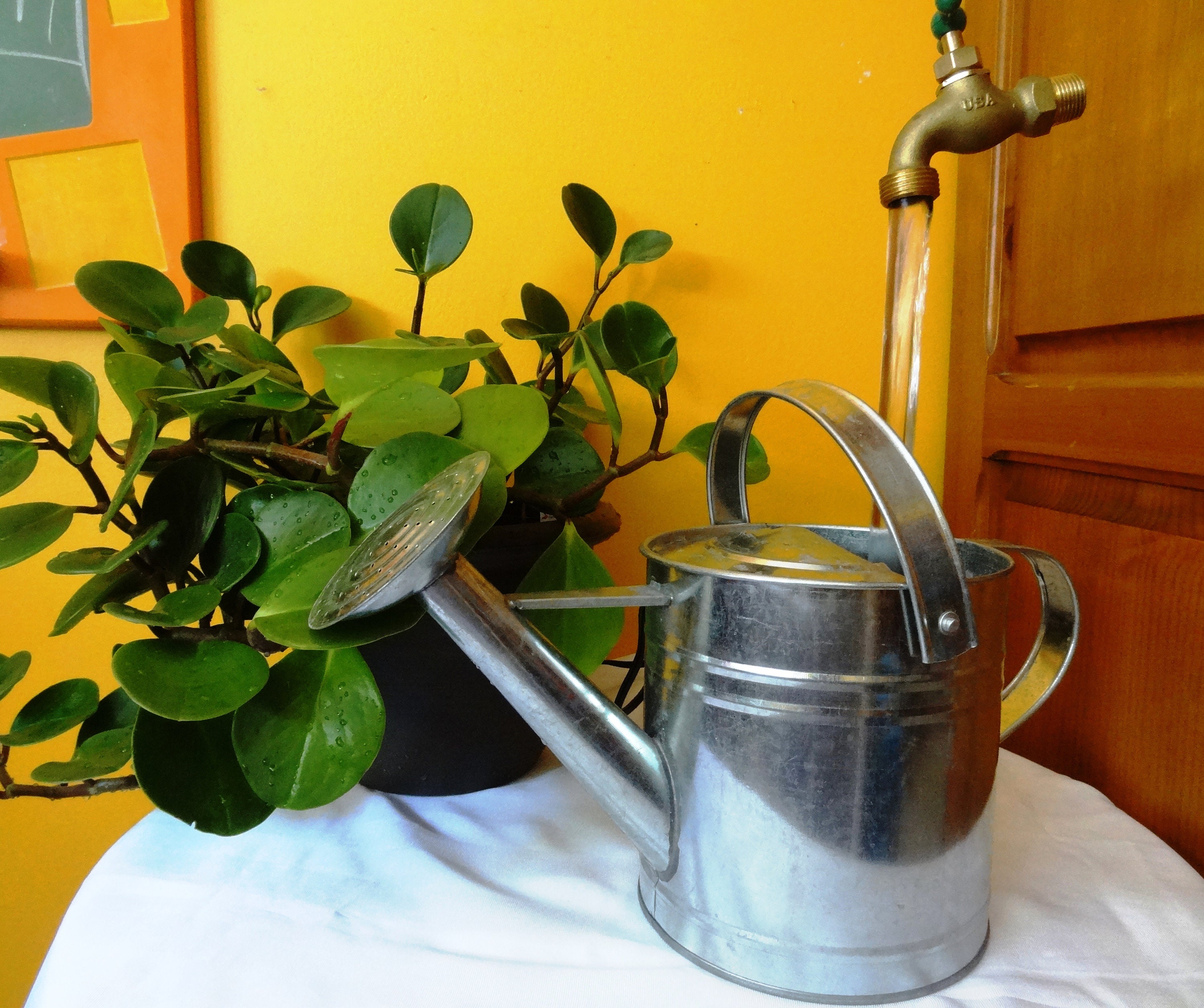 5 Kits- Floating Faucet Water Fountain Kits, Make 5 of Your Own ...