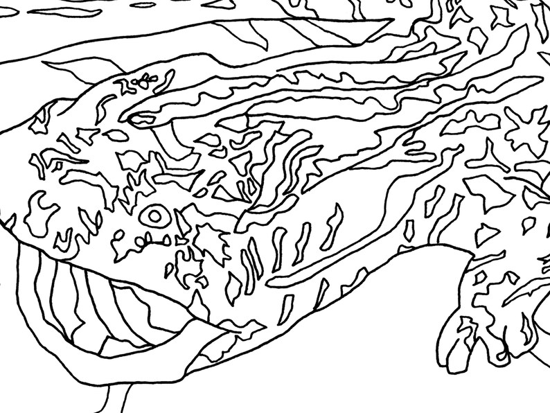 Pennsylvania Eastern Hellbender 2 Art Print. Ink Original Fine | Etsy