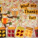 Teachers School Bulletin Board for THANKSGIVING /what Are We THANKFUL ...